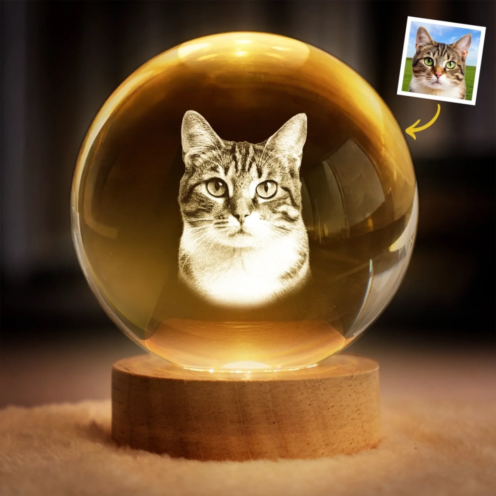 Custom Photo Crystal Globe Lamp - Pet Memorial Sympathy Gifts For Dogs ...